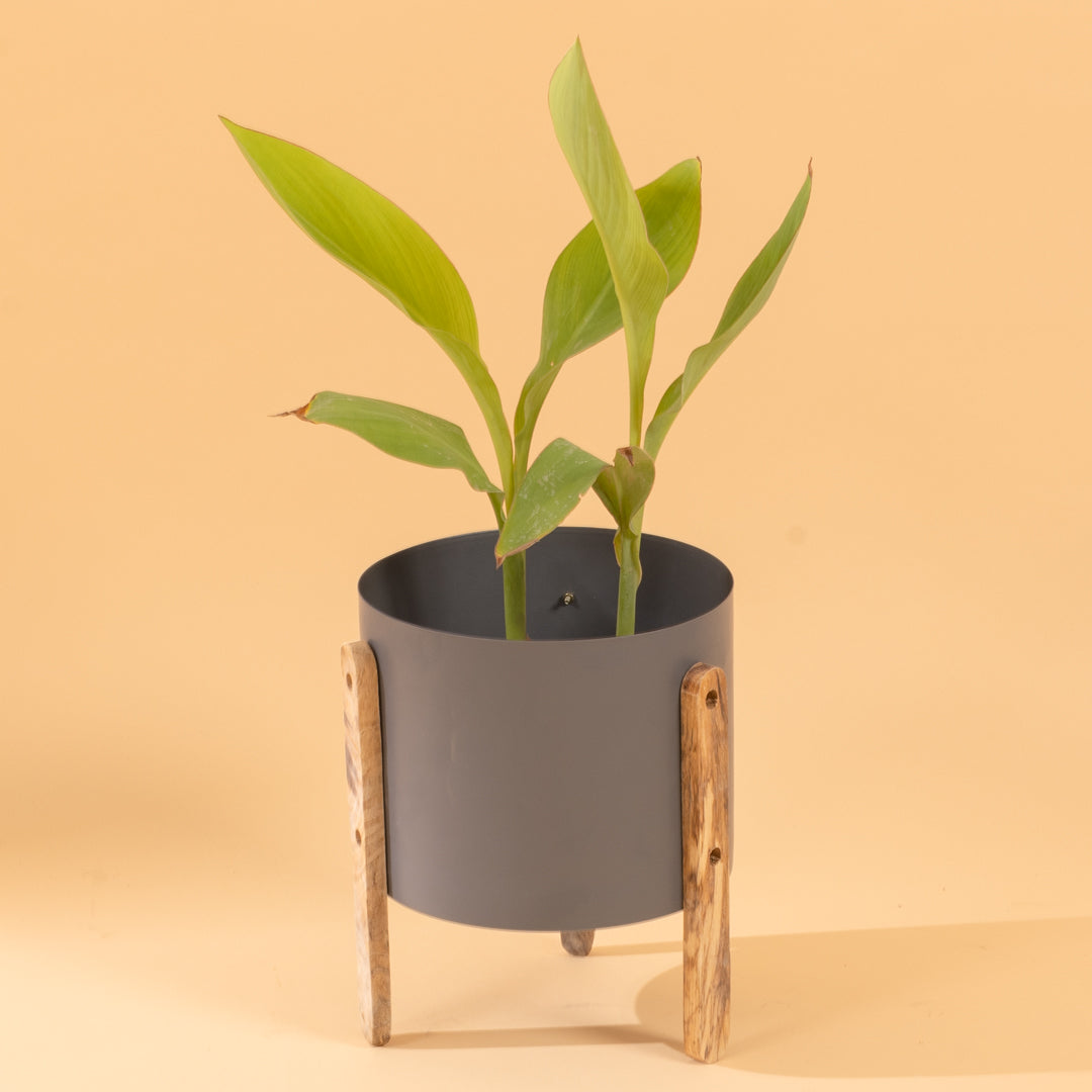 Modern Round Metal Pot with Wooden Stand in Grey | ThreadVibe Living