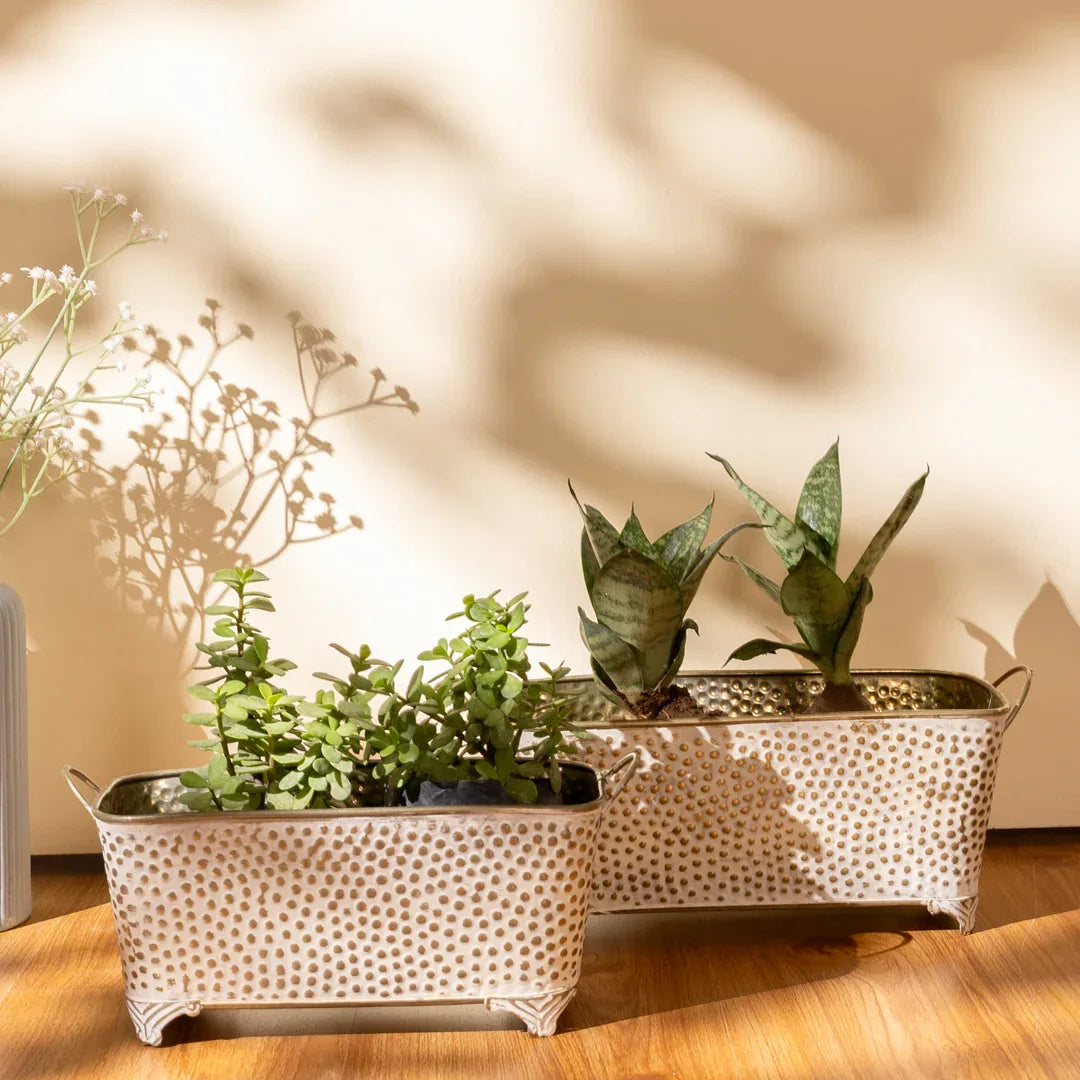 Polka Dotted Long Basket Planter in White | ThreadVibe Living